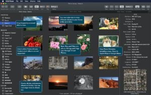 Best RAW Photo Editor in 2023 - Free and Paid [Mac/ Windows]